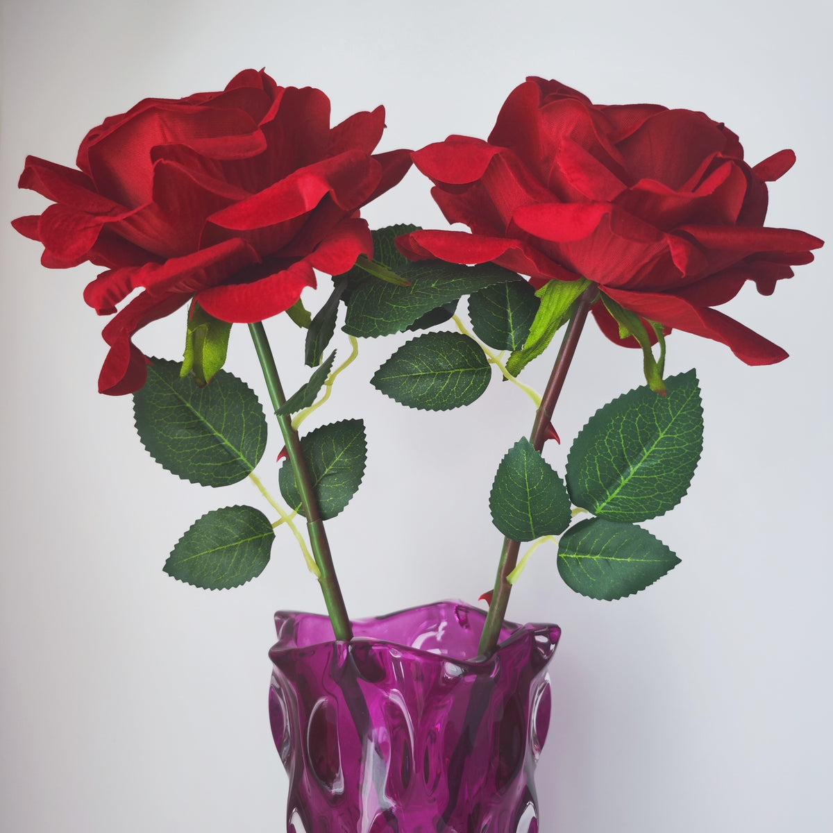 Bulk Gorgeous Large Headed Real Touch Velvet Rose Flowers with Stems W ...