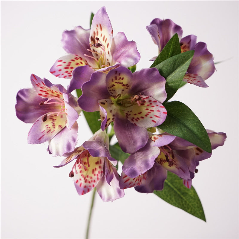 Bulk 30 inches Tall Peruvian Lily Stems Alstroemeria Aurantiaca Silk F ...