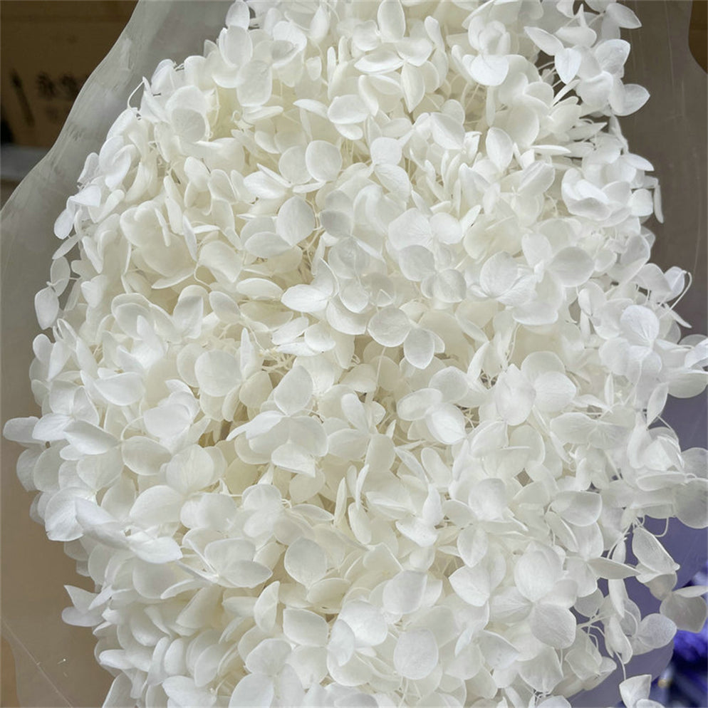 Bulk Preserved Large Hydrangea for Crafts Flowers Arrangements Wholesa ...