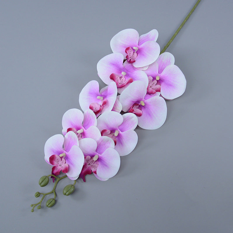 Bulk 3pcs 37" Extra Long Phalaenopsis Orchid Stems Real Touch Lucky Fl ...