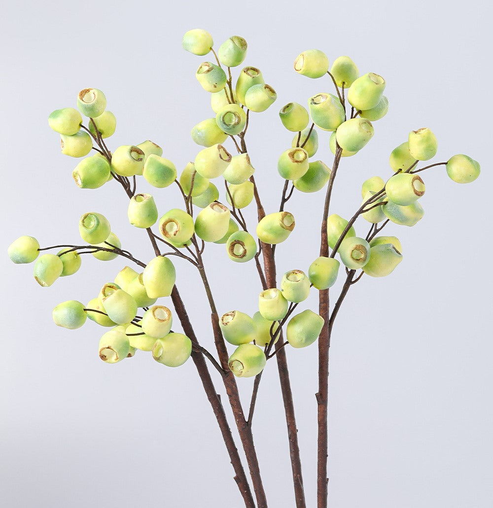 Bulk Artificial Gum Nut Pods Olea Europaea Fruit Eucalyptus Fruit 22 I ...