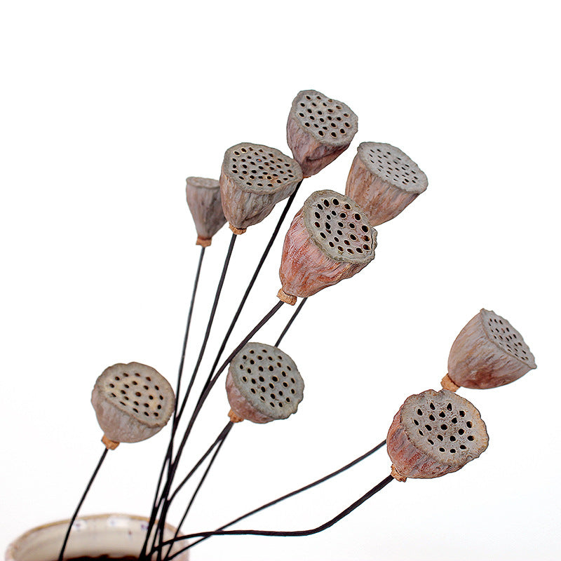 Bulk Artificial Dried Lotus Flower Pod Twig Seedpod Stem 23 Inch Whole ...